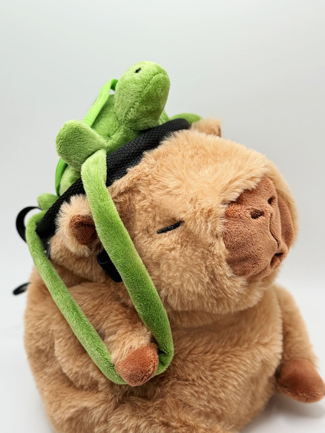 Capybara with Mr.Turtle Chalk Bag